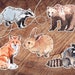 Animals of the World Alphabet Cards D'nealian-style Print - Etsy Canada