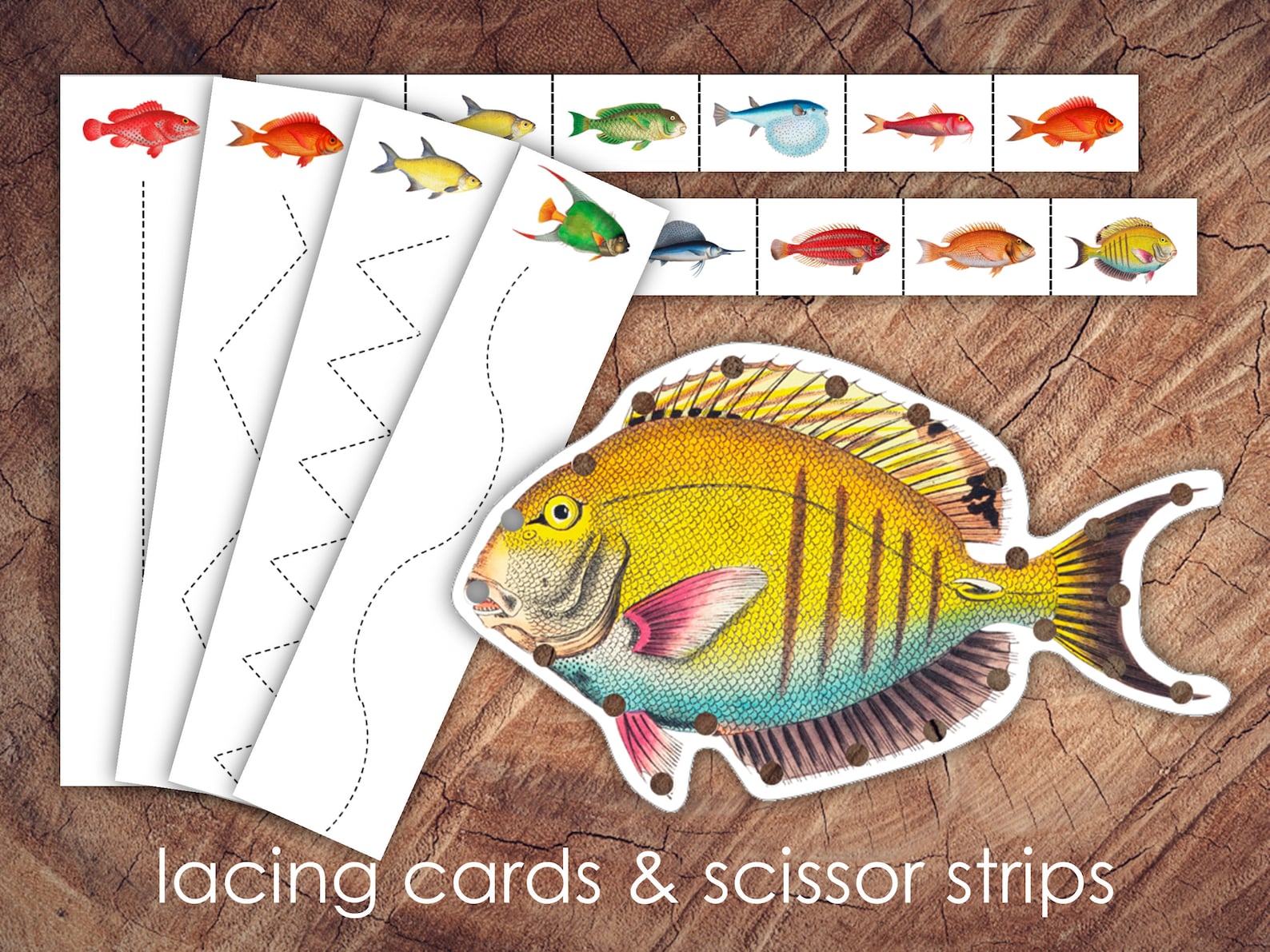 Rainbow Fish Preschool Basics Bundle, Homeschool Printable - Etsy Canada