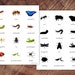 Insects Picture Matching Cards, Silhouette Matching, Toddler Preschool ...
