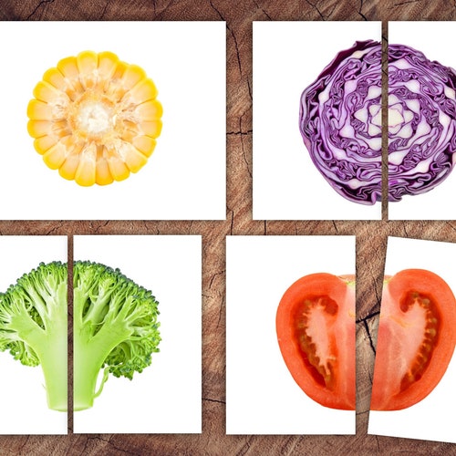 Flower Symmetry Puzzles Matching Cards Toddler Preschool | Etsy