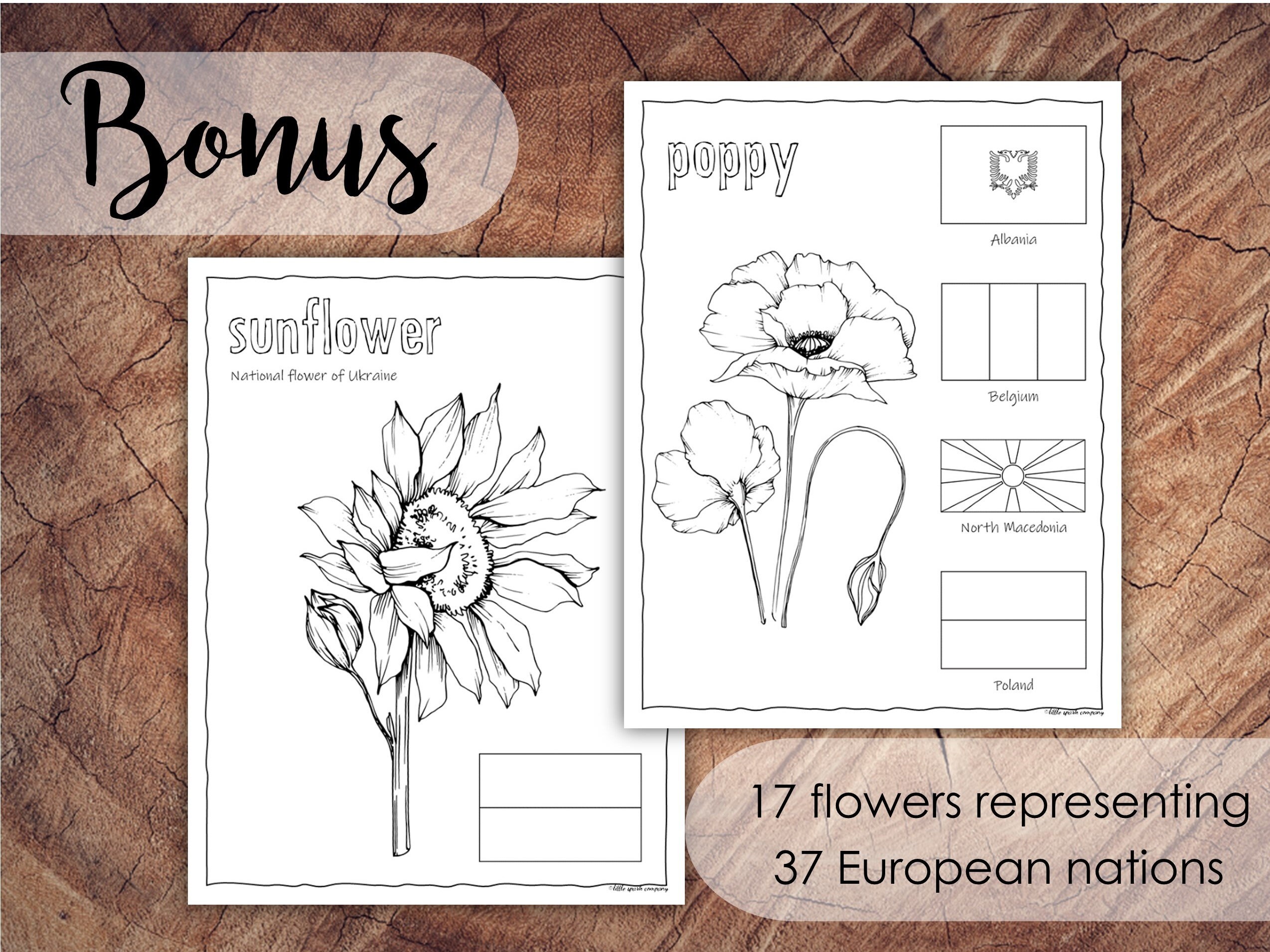 European Countries Research Pack With BONUS Homeschool - Etsy