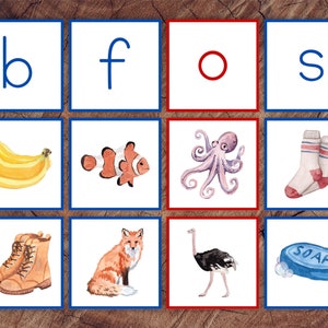 Beginning Letter Sounds Picture Sorting Card Set, Blue Consonants Red ...