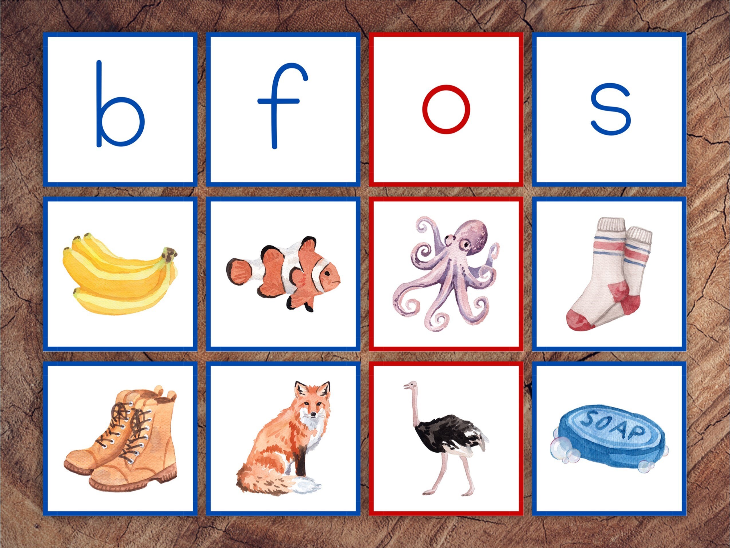 Beginning Letter Sounds Picture Sorting Card Set, Blue Consonants Red ...