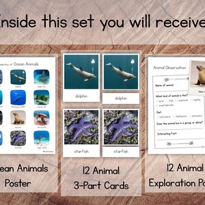 Ocean Animals Pack With Extension - Etsy