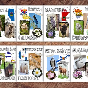 Canadian Provinces and Territories Poster Set , Homeschool Geography - Etsy