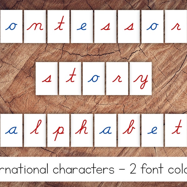 Montessori Alphabet - Etsy