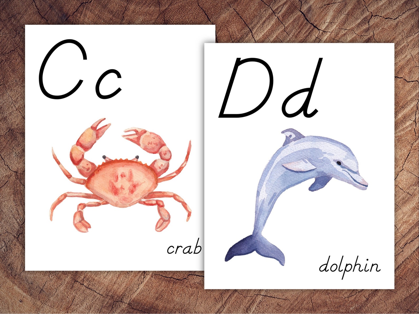 Alphabet Posters D'nealian-style Font Large Format for - Etsy