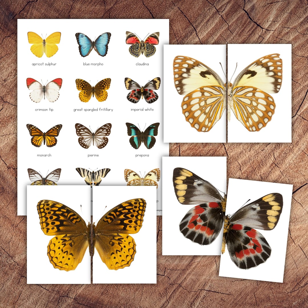 Butterfly Symmetry Puzzles, Matching Cards, Toddler Preschool Activity ...