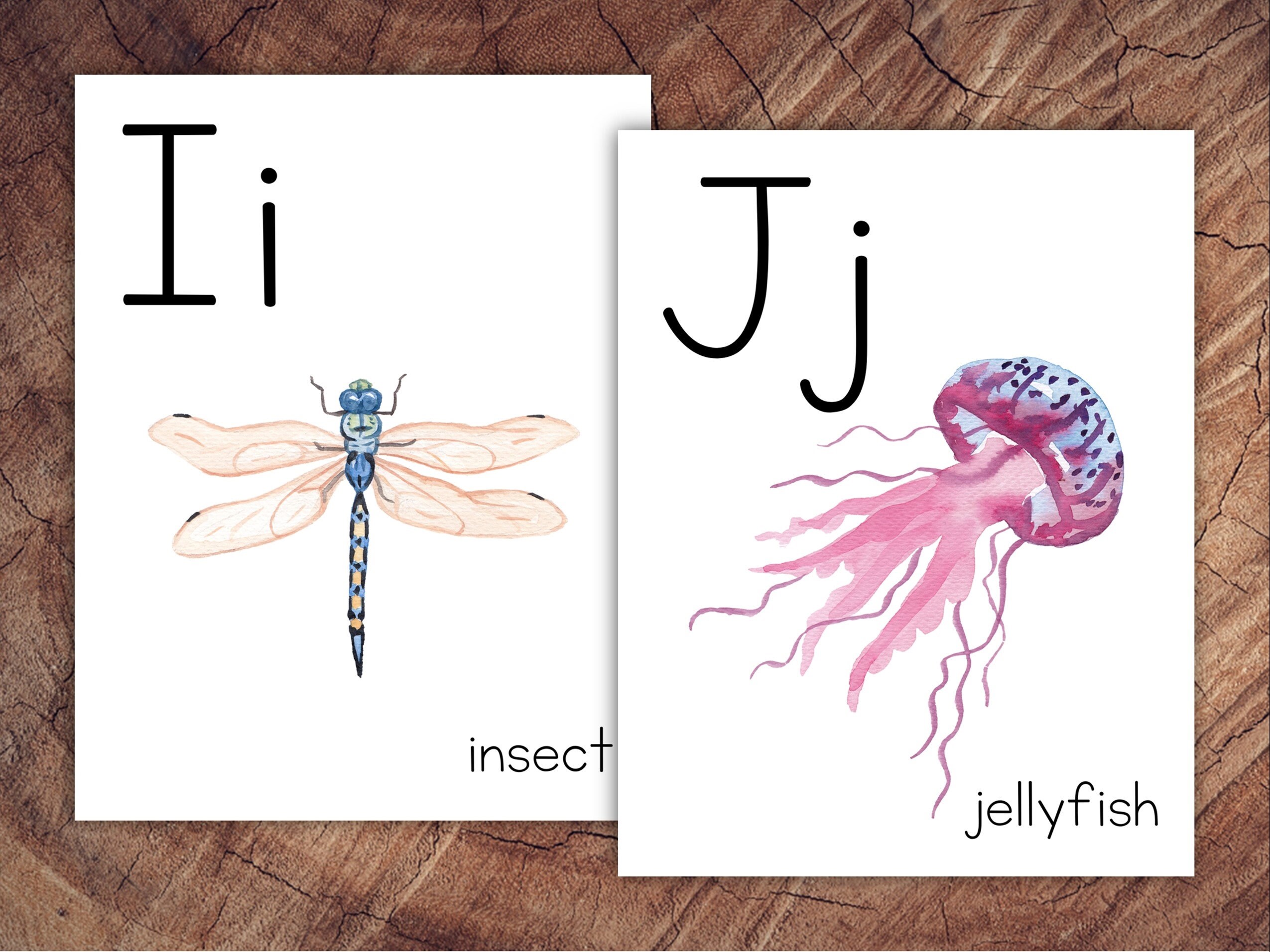 Animals of the World Alphabet Posters, Large Format for Classroom Use ...