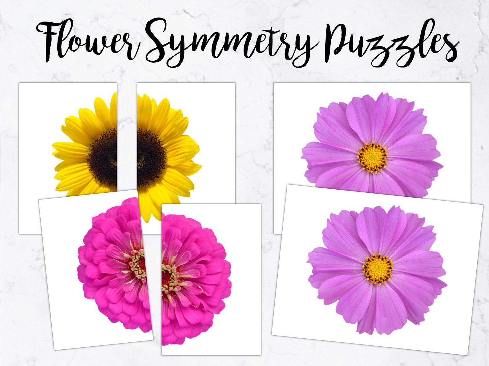 Flower Symmetry Puzzles Matching Cards Toddler Preschool | Etsy