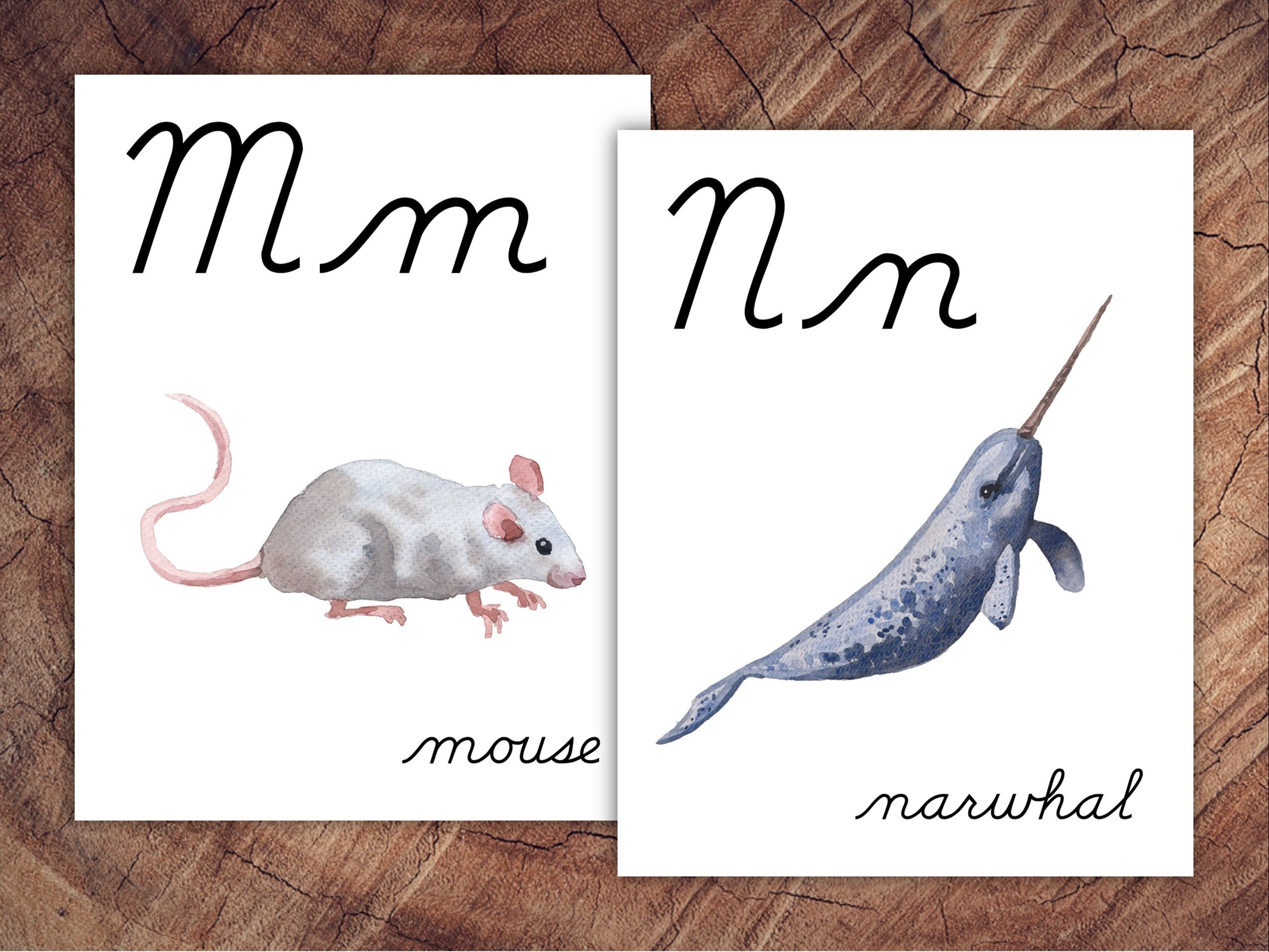 Animals of the World Alphabet Posters, CURSIVE, Large Format for ...