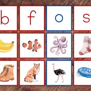 Beginning Letter Sounds Picture Sorting Card Set, Red Consonants Blue ...