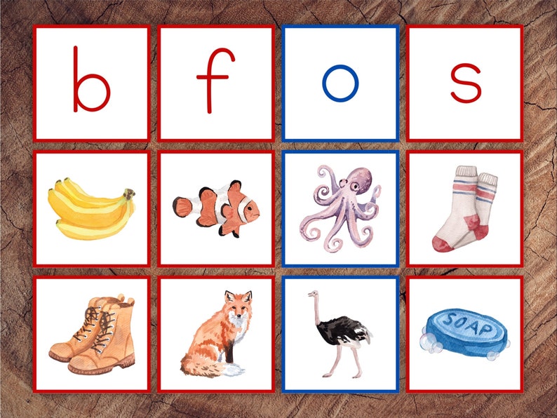 Beginning Letter Sounds Picture Sorting Card Set, Red Consonants Blue ...