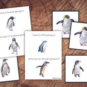 Playful Penguins Bundle, Homeschool Printable - Etsy