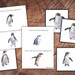 Playful Penguins Bundle Homeschool Printable - Etsy