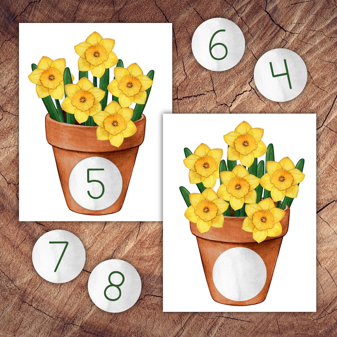 Spring Daffodils Counting 1-10 - Etsy