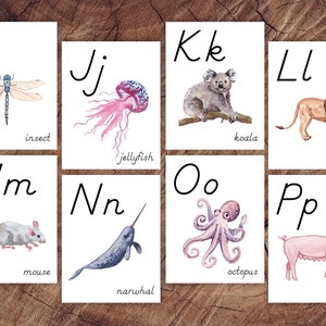 Animals of the World Alphabet Cards, D'nealian-style Print - Etsy Canada