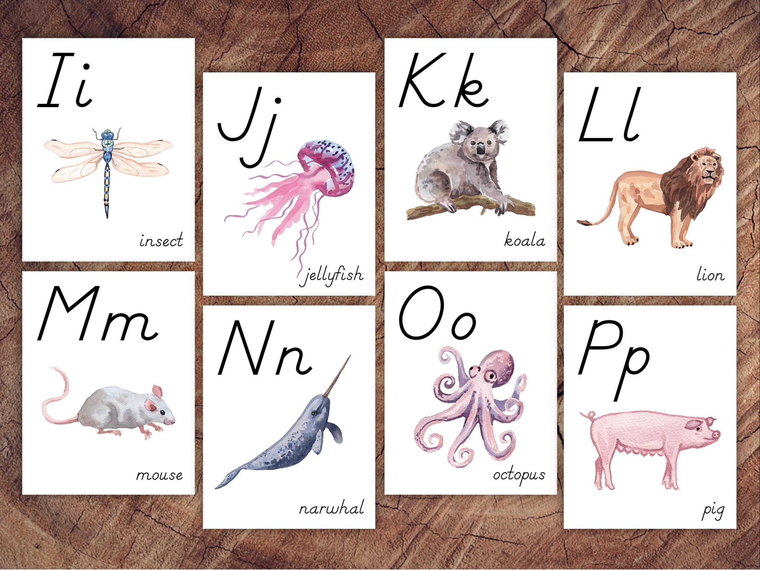 Animals of the World Alphabet Cards D'nealian-style Print - Etsy Canada