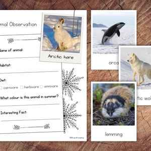 Arctic Animals Pack With Extension - Etsy