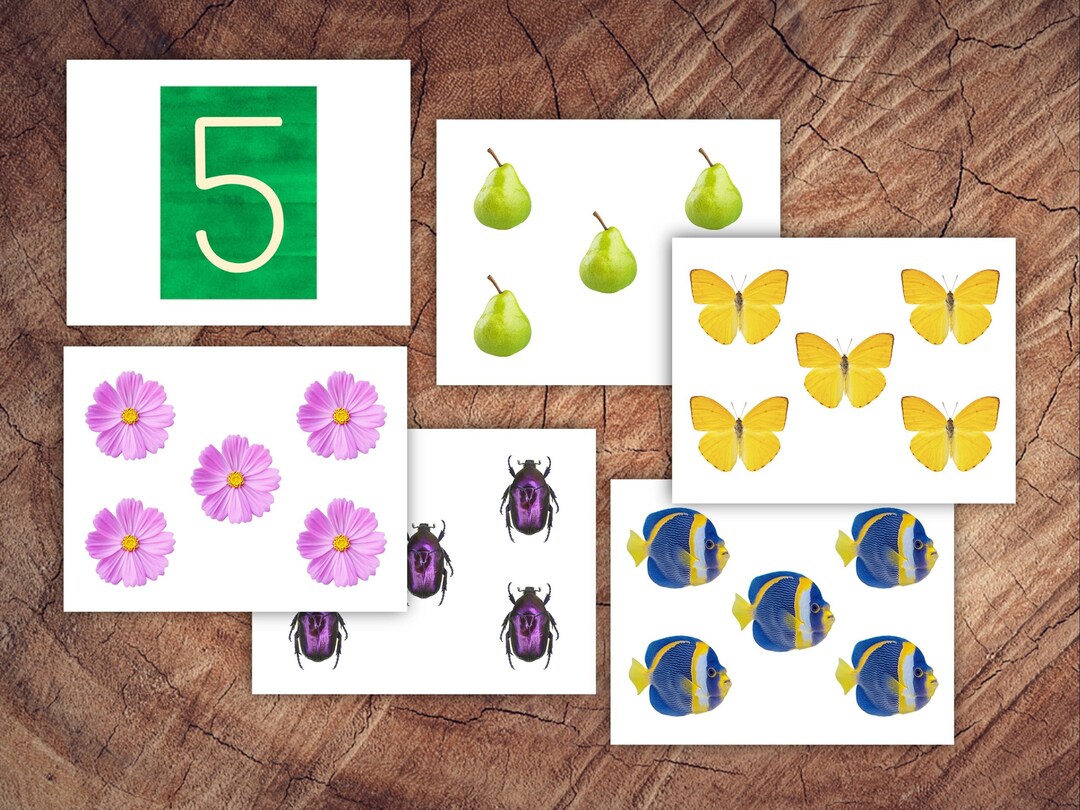 Count & Sort Quantities 1-5, Preschool Counting Number Recognition - Etsy