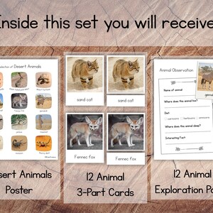 Desert Animals Pack With Extension - Etsy