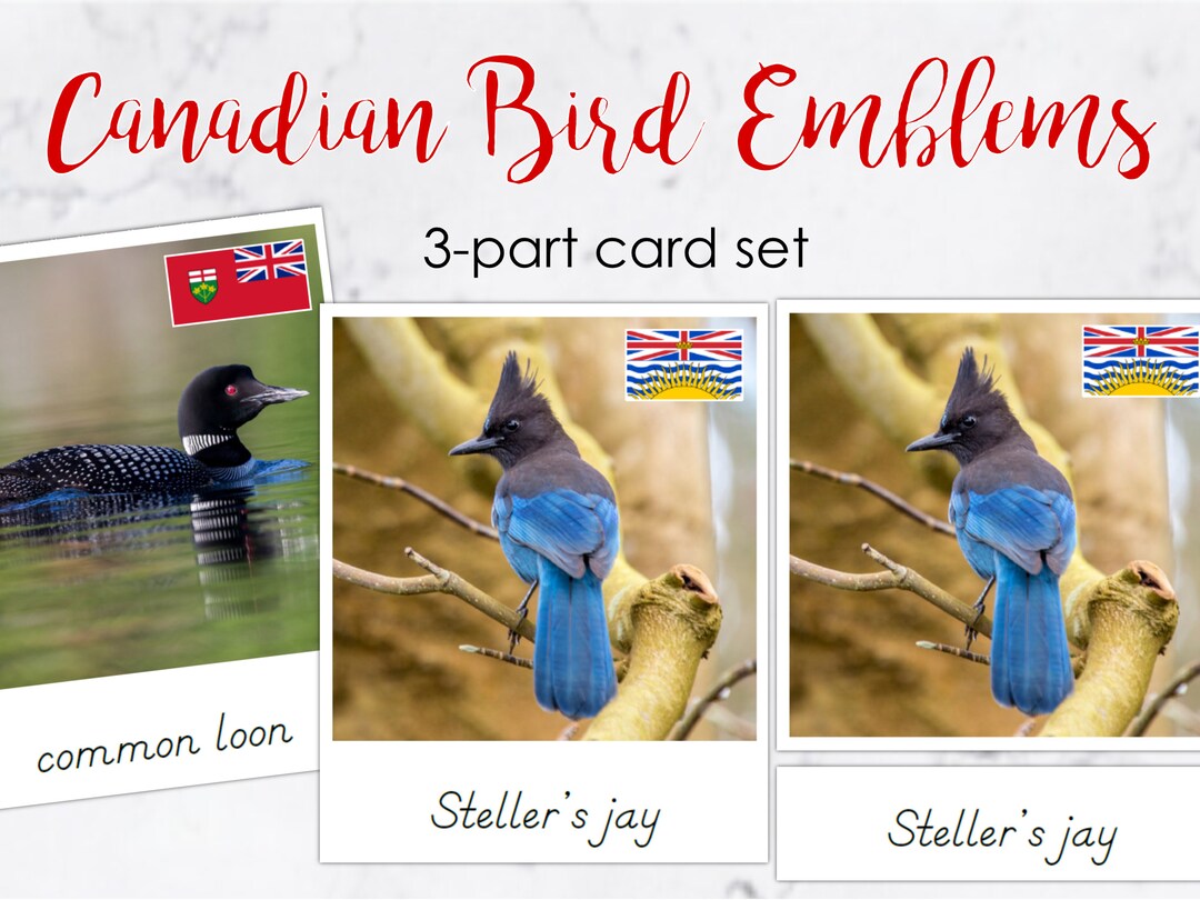 Canadian Bird Emblems 3-part Card Set - DIGITAL DOWNLOAD - Etsy Canada