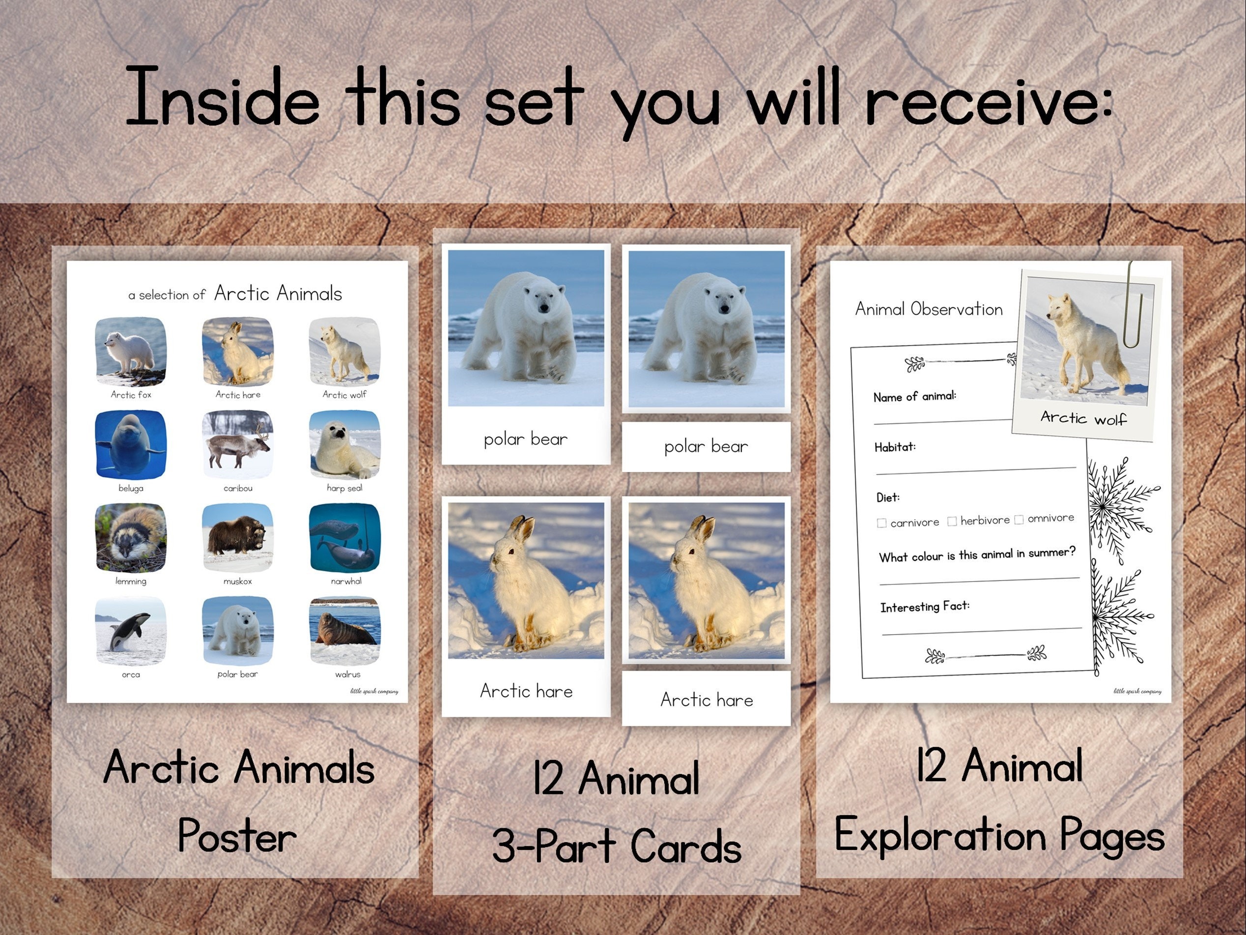 Arctic Animals Pack With Extension - Etsy