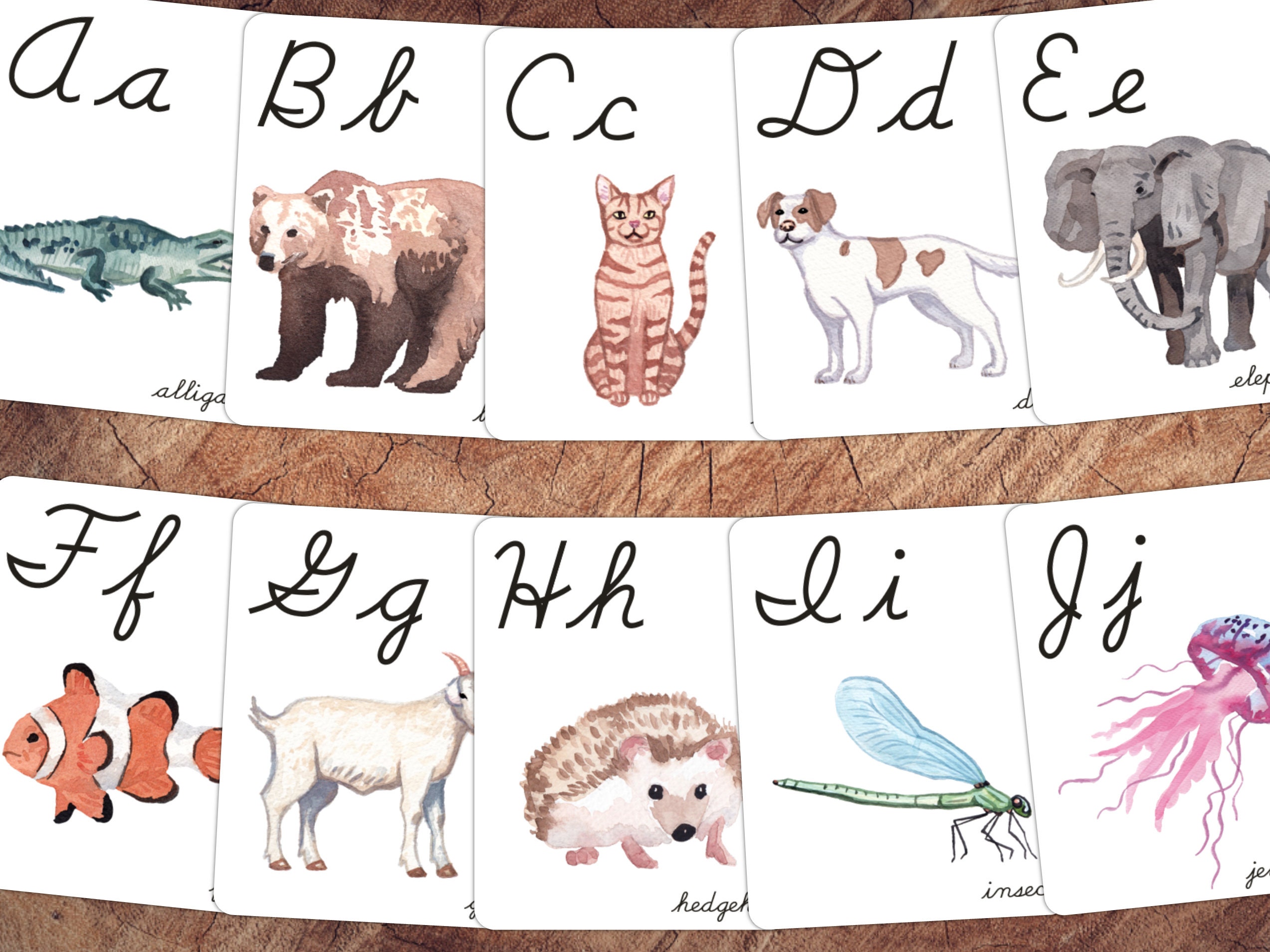 Animals of the World Cursive Alphabet Cards Animal Nursery | Etsy