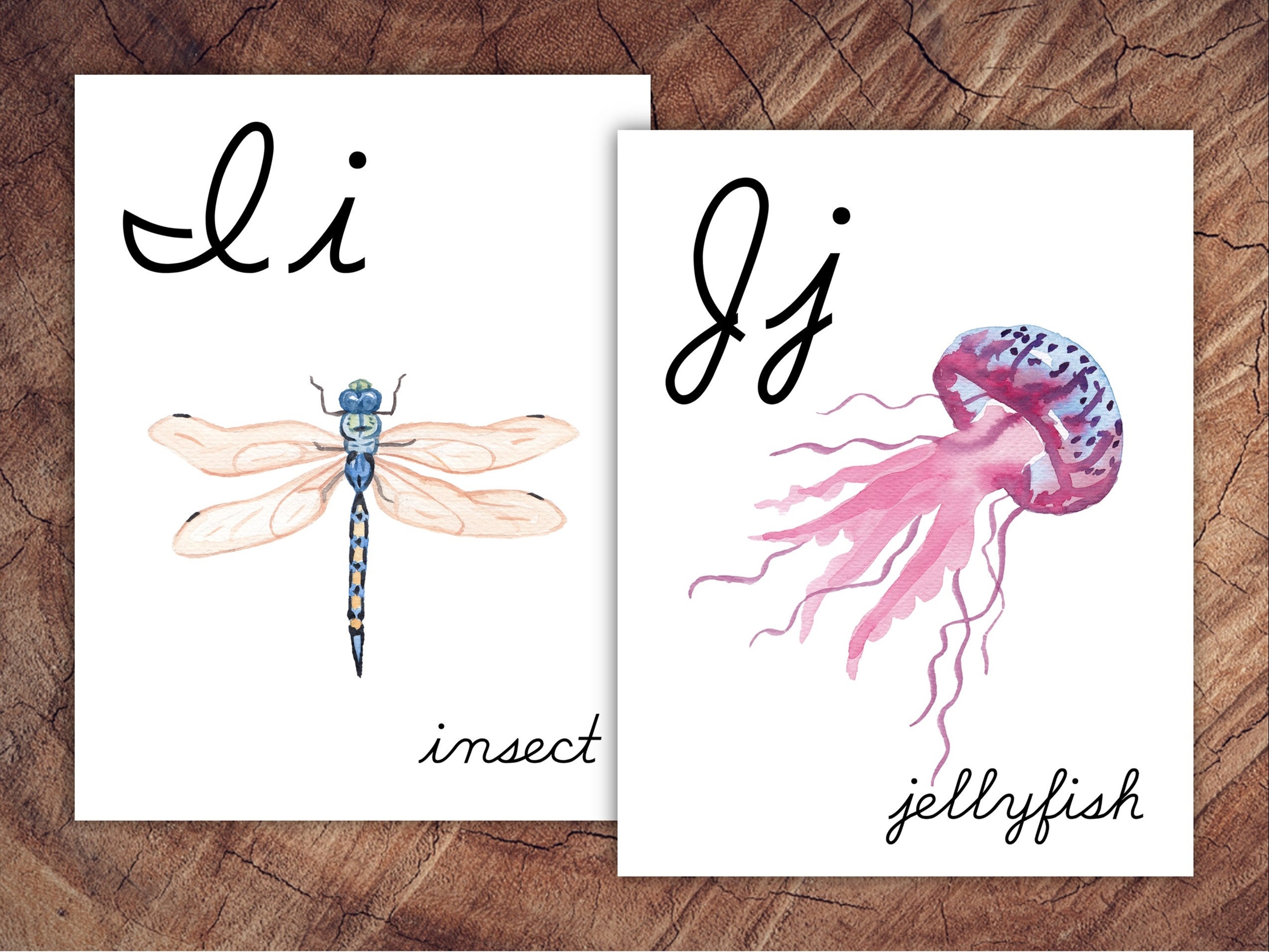 Animals of the World Alphabet Posters, CURSIVE, Large Format for ...