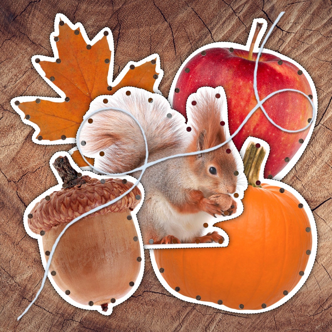 Autumn Lacing Cards, Real Images, Toddler Preschool Activity - Etsy