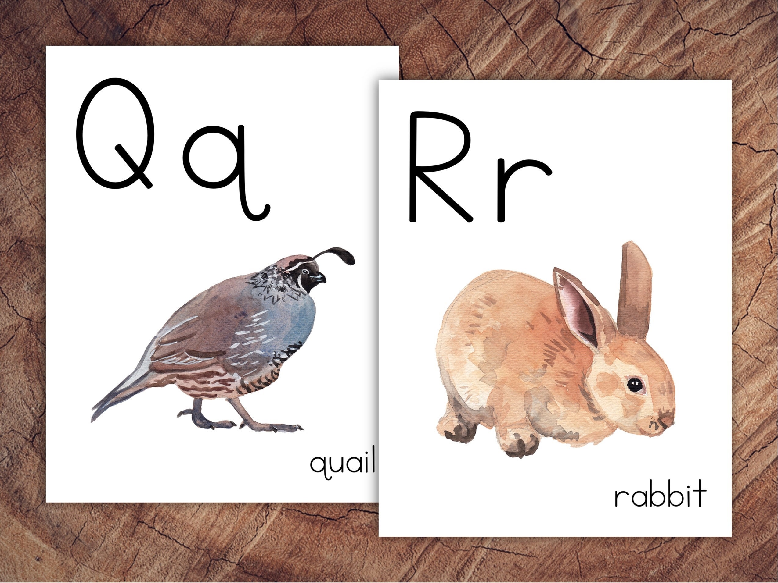 Animals of the World Alphabet Posters Large Format for | Etsy