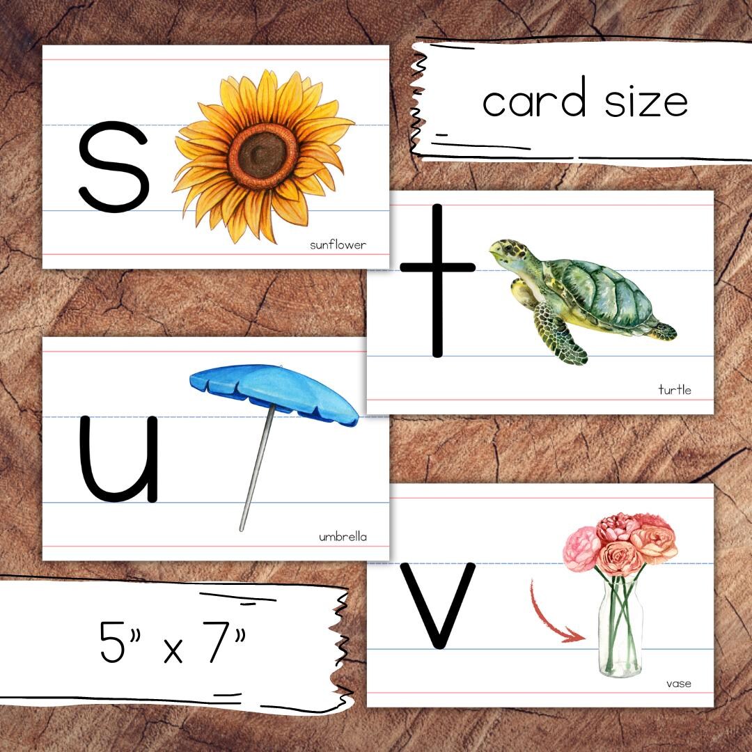 Lowercase Alphabet Cards Lined - Etsy