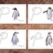 Playful Penguins Bundle Homeschool Printable - Etsy