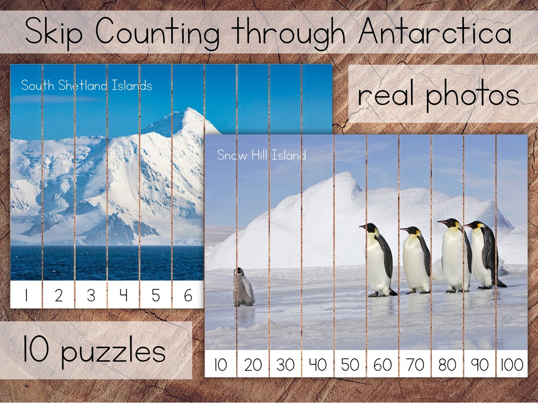 Skip Counting Through Antarctica, Preschool Skip Counting Puzzles - Etsy