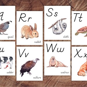 Animals of the World Alphabet Cards, D'nealian-style Print - Etsy Canada