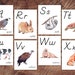 Animals of the World Alphabet Cards, D'nealian-style Print - Etsy Canada