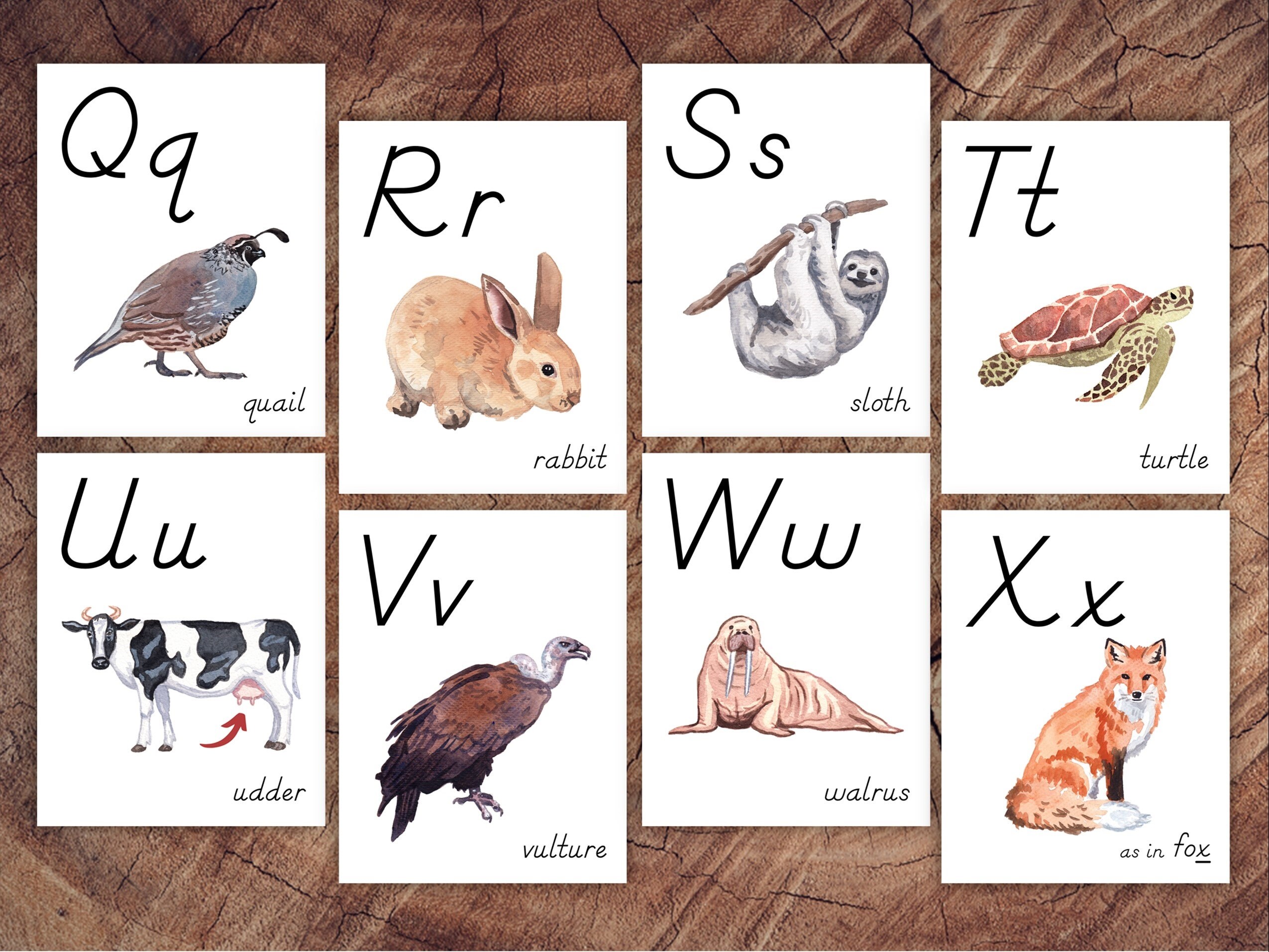 Animals of the World Alphabet Cards D'nealian-style Print - Etsy Canada