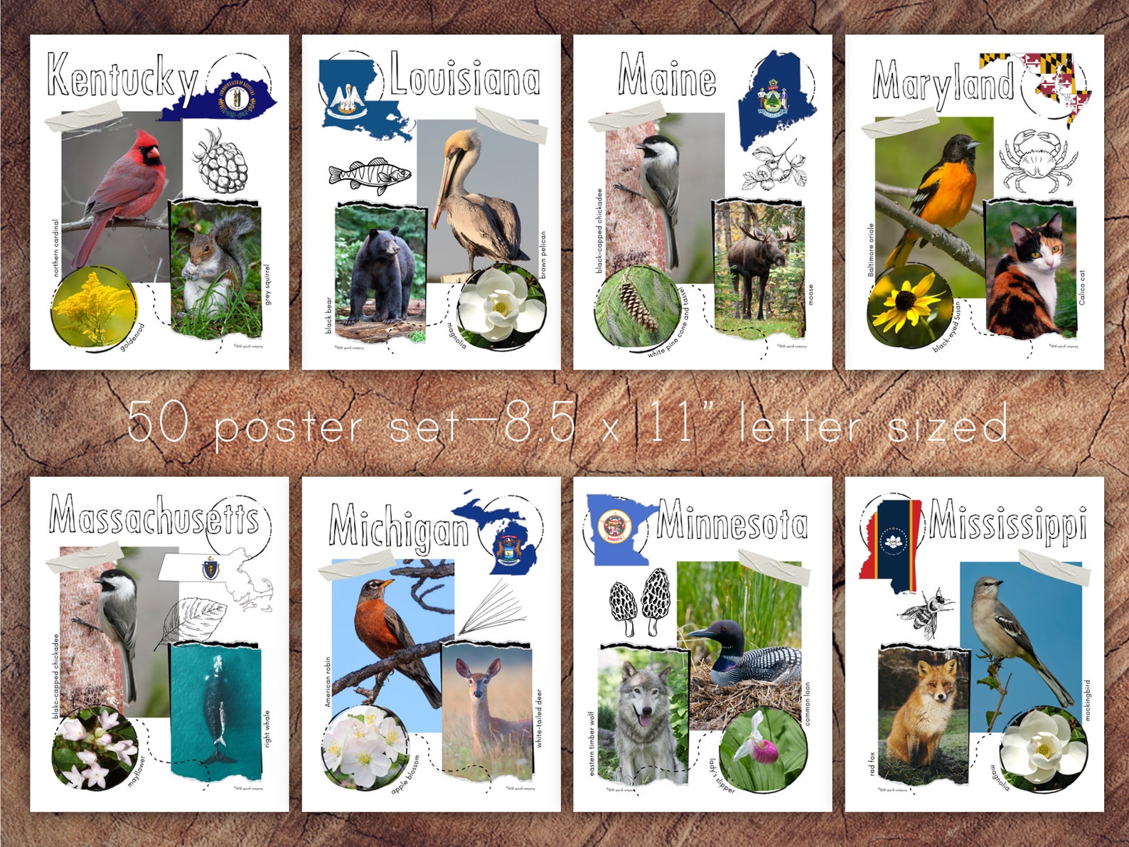 US States Poster Set Homeschool Geography | Etsy