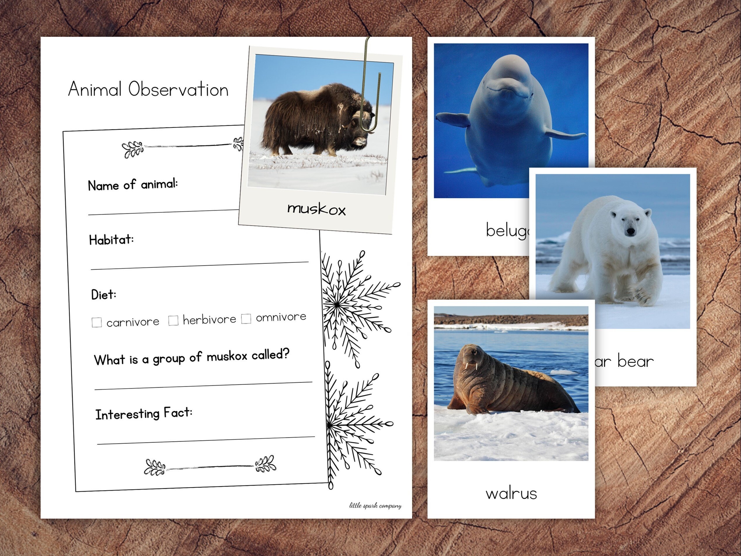 Arctic Animals Pack With Extension - Etsy