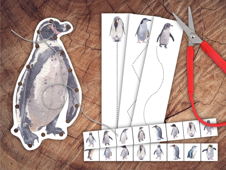 Playful Penguins Bundle, Homeschool Printable - Etsy