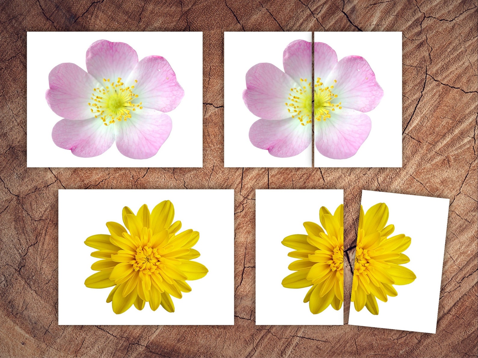 Flower Symmetry Puzzles Matching Cards Toddler Preschool - Etsy