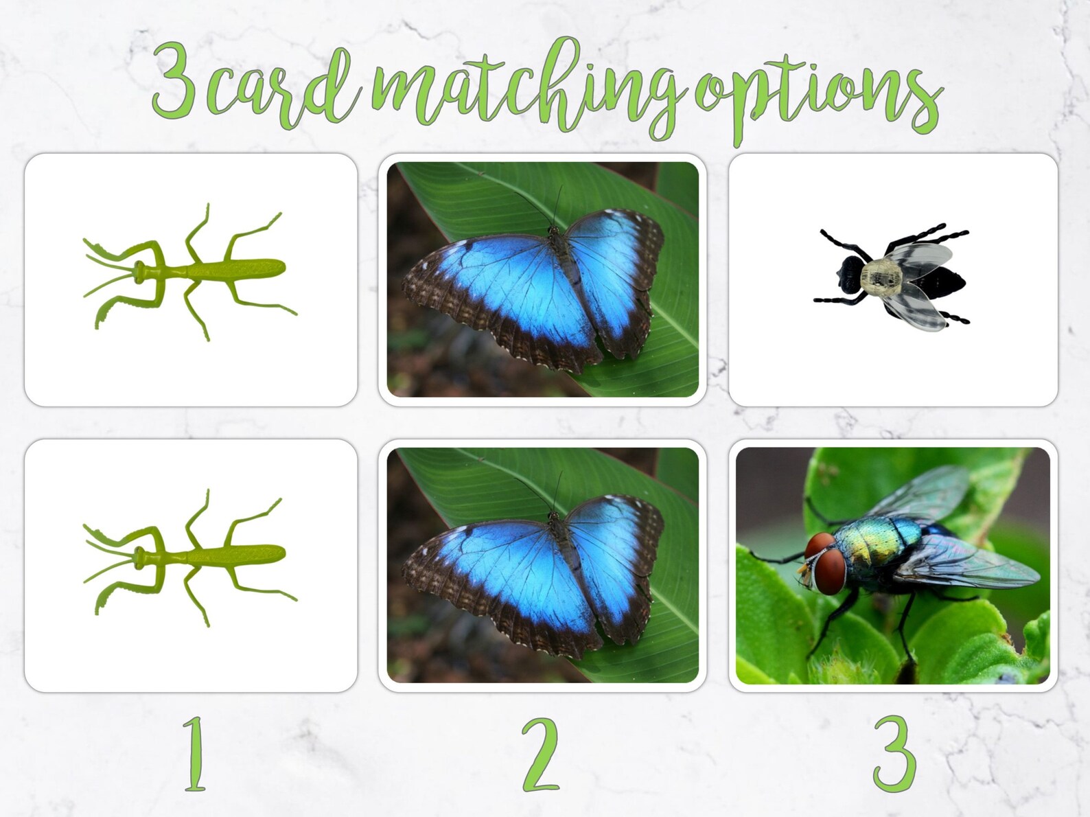 Insects Picture Matching Cards Toddler Preschool Activity | Etsy