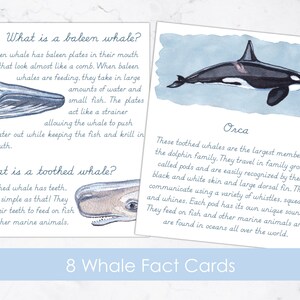 Wonderful Whales Bundle, Preschool Literacy, Math DIGITAL DOWNLOAD - Etsy