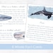 Wonderful Whales Bundle, Preschool Literacy, Math DIGITAL DOWNLOAD - Etsy