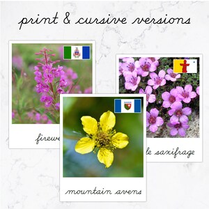 Canadian Floral Emblems 3-part Card Set - DIGITAL DOWNLOAD - Etsy