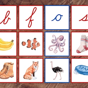 Beginning Letter Sounds Picture Sorting Card Set, Cursive Edition, Red ...