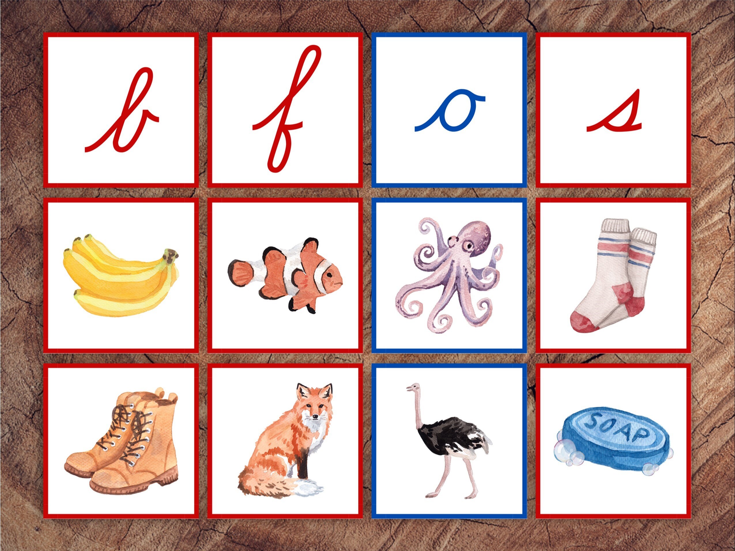 Beginning Letter Sounds Picture Sorting Card Set, Cursive Edition, Red ...