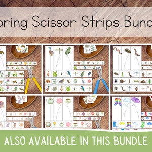 Mini Beasts Scissor Strips Set Preschool Scissor Practice - Etsy
