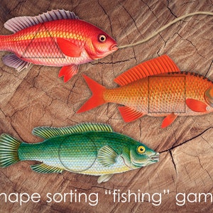 Rainbow Fish Preschool Basics Bundle, Homeschool Printable - Etsy