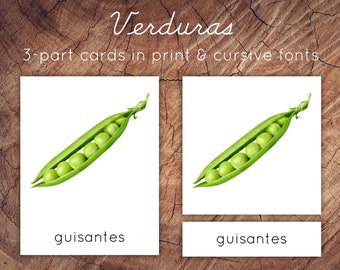 SPANISH Farm Animals 3 Part Cards Montessori Nomenclature | Etsy